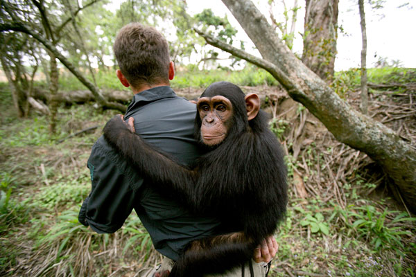 Amazon.co.jp: Escape to Chimp Eden: Season 1 [DVD] : DVD