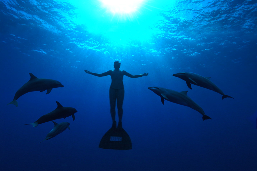 Amazon | Cove [DVD] [Import] | 映画