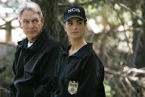 Amazon.co.jp: Ncis: Sixth Season (6pc) (Ws Ac3 Dol Slim Slip) [DVD] : DVD