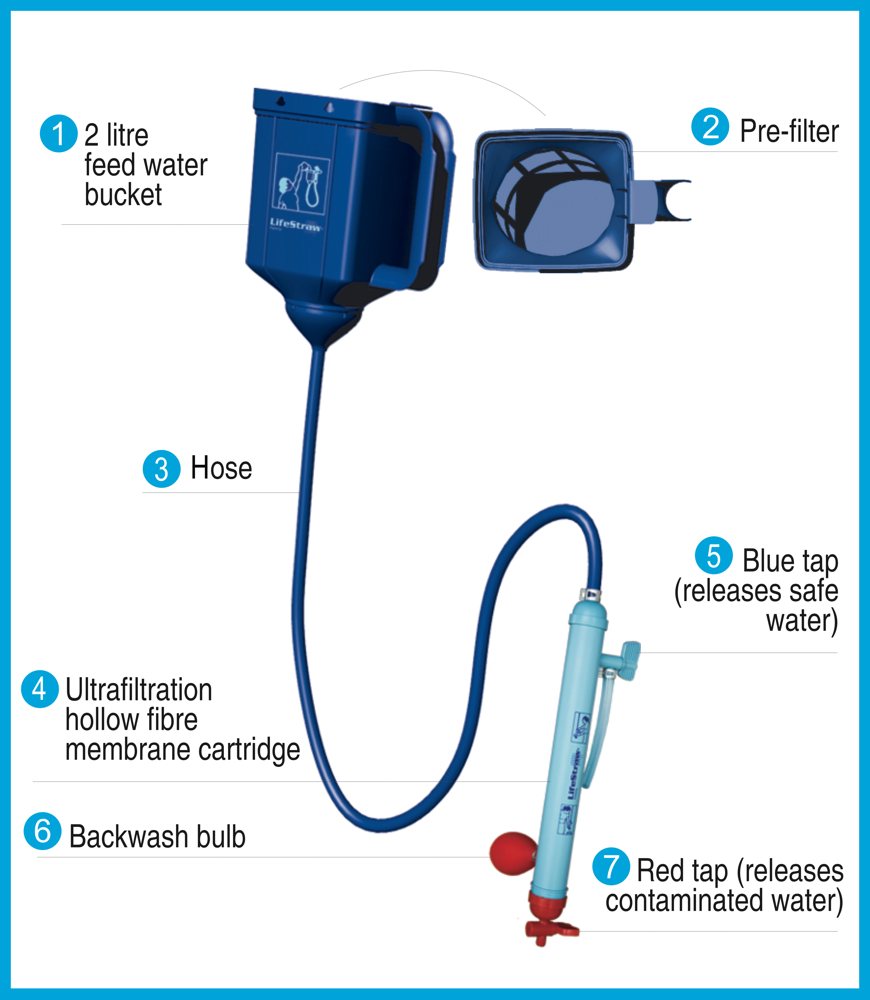 LifeStraw Family 1.0 Water Purifier : Amazon.sg: DIY and Tools