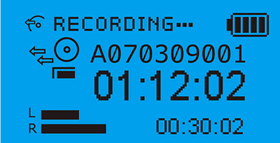 Amazon.co.jp: 【直販モデル】 iriver F700 4GB シルバー F700-4GB-SL : 家電＆カメラ