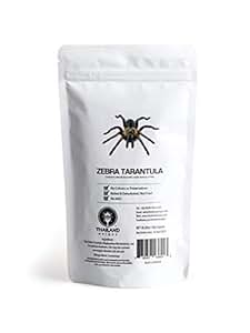 Amazon.co.jp： 乾燥 タランチュラ 缶詰 Edible Dehydrated Zebra Tarantula 1匹 [並行輸入品 ...