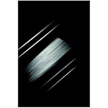 Amazon | 【極細線】 ばね用ステンレス鋼線 SUS304-WPB 線径0.08mm 300mm10本セット 品番03-G008-03 | 線