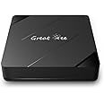 Great Bee Arabic tv box for IPTV,set top box,Free for lifetime : Amazon ...