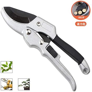 Amazon | 千吉 ラチェット式 剪定鋏 SGP-22R | DIY・工具・ガーデン
