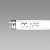 Amazon.co.jp: NECライティング NEC 一般蛍光ランプ 明るさ1230lm 消費電力20W FL20SW 白色 ルーメン : ホーム＆キッチン