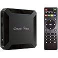 Great Bee Arabic tv box for IPTV,set top box,Free for lifetime : Amazon ...
