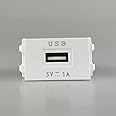 Amazon.co.jp: 埋込式コンセント USBソケットプラグDC5V 1A USB 2.0充電モジュール128タイプUSB充電器 ...