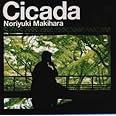 Amazon.co.jp: Cicada - 槇原敬之: ミュージック