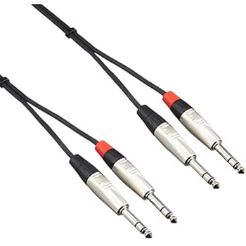 Amazon.co.jp： Hosa CSS-201 1m 両側ステレオフォン×2 オーディオケーブル: 楽器