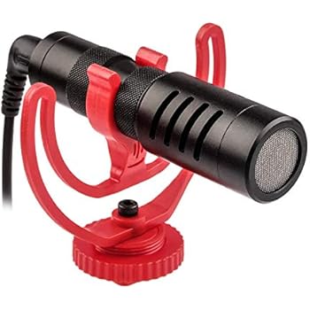 Amazon.co.jp： 【国内正規品】RODE ロード VideoMic Pro Rycote コンデンサーマイク VMPR: カメラ