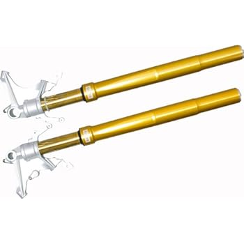 Amazon | OHLINS(オーリンズ) フロントフォーク FGRT200 ゴールド FG R&T NIX ZX-10R(11-12 ...