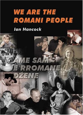 Amazon | We Are the Romani People: Volume 28 (Interface Collection ...