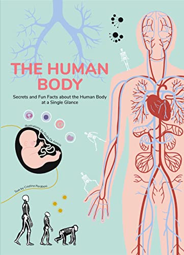 Amazon | The Human Body Mysteries Explained: An Illustrated Parts of the Body Book for Kids ...