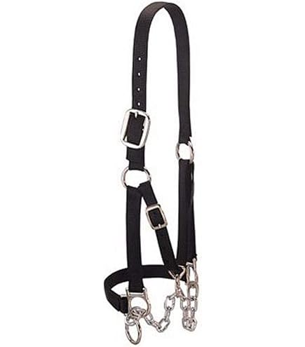 s Weaver Leather Livestock Water Buffalo Leather Goat Halter, Large ...