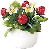 Amazon.co.jp: フルタック(Fultac) 光触媒 消臭 抗菌 防カビ フェイクグリーン ラウンドポット ラベンダー インテリア グリーン 造花 観葉植物 163572 : ホーム ...