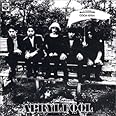 Amazon | APRYL FOOL | THE APRYL FOOL, 細野晴臣, 松本隆, 小坂忠, 柳田ヒロ, 菊池英二 | J ...