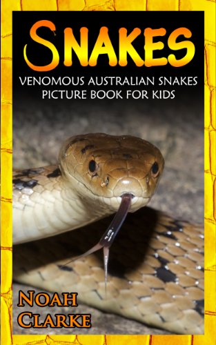 Snakes: Venomous Australian Snakes Picture Book for Kids eBook: Noah ...