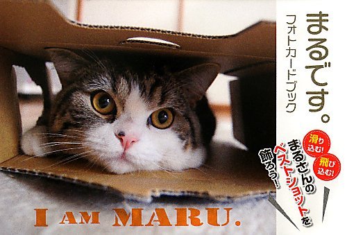まるです。フォトカードブック | mugumogu |本 | 通販 | Amazon
