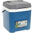 Amazon | イグルー（igloo） クーラーボックス 11L 保冷 ハイブリッド 12 32027 （ブルー×グレー/FF） | イグルー(Igloo) | クーラーボックス