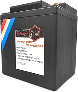 Amazon | KP30L-BSバッテリーLifepo4 30AH 12vリン酸リチウムイオンバッテリー-高性能-ビルトインBMS電圧保護 ...