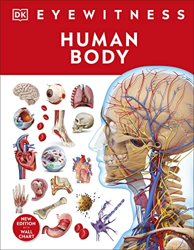 Amazon | Human Body (DK Eyewitness) | DK | Science & Technology