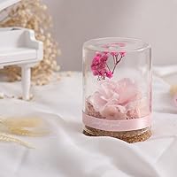 Amazon｜IwaiLoft 当店人気NO1 MINI プリザーブドフラワー ギフト バラ プレゼント 枯れないお花のアレンジ 誕生日プレゼント・お祝い・発表会・贈り物に ガラスドーム 母の ...