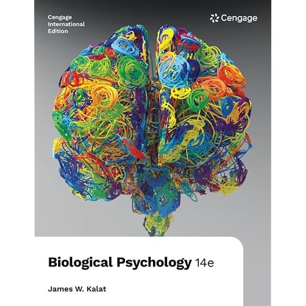 A Colorful Introduction To The Anatomy Of The Human Brain