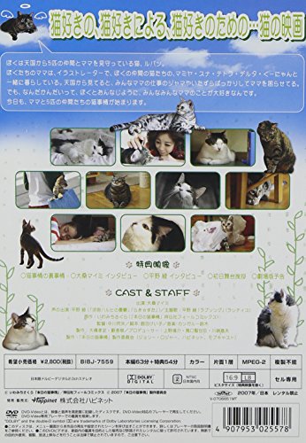 Honjitsu no neko jijou: Image&Wallpaper[JP movie]