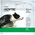4Cyte Oral Joint Supplement Canine Granules for Dogs, 100 g : Amazon ...