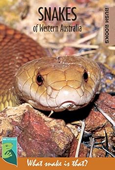 Snakes of Western Australia: What snake is that? (Bush Books) eBook ...
