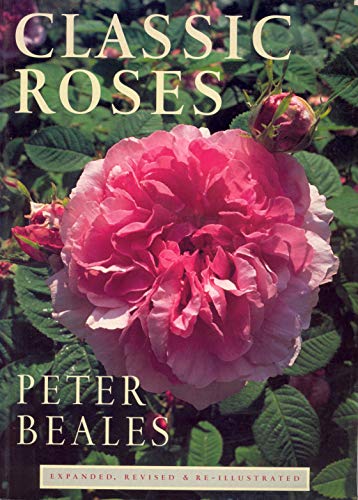 Amazon | Classic Roses | Beales, Peter | Roses