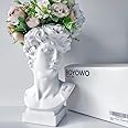 David Statue Greek Bust Face Vase Head Retro Aesthetic Vintage Dark ...