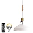 Amazon.co.jp: VENTOTA ペンダントライト 100w相当 リモコン式 LED電球付き E26 天井照明 リビング 吊り下げ照明 ダイニング 食卓用 レトロ インダストリアル ...