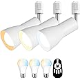 Amazon.co.jp : ANWIO ダクトレール用 スポットライト 3個セット E26口金 900LM 消費電力8.3W（60W形相当） LED電球付き リモコン付き 調光 調色 レール ...