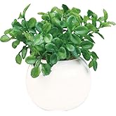 Amazon.co.jp: フルタック(Fultac) 光触媒 消臭 抗菌 防カビ フェイクグリーン ラウンドポット マルベリー インテリア グリーン 造花 観葉植物 163596 : ホーム ...
