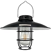 Amazon.co.jp: FUTUREFOX 山小屋 ランタン LEDランタン エジソン電球 レトロ 光量無段階調整 : スポーツ＆アウトドア