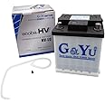 Amazon | G&Yuバッテリー 【ハイブリッド車補機用バッテリー液式タイプ】 HV-L0(40Ah/20時間率容量) バッテリー 充電器 充放電 | カーバッテリー | 車＆バイク