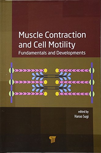 Amazon | Muscle Contraction and Cell Motility: Fundamentals and ...