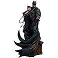 Amazon.co.jp: HiPlay Sideshow 20インチ Batman and Catwoman バットマンとキャットウーマン ...