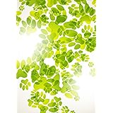 Amazon.co.jp: igsticker ポスター ウォールステッカー シール式ステッカー 飾り 515×728㎜ B2 写真 フォト 壁 インテリア おしゃれ 剥がせる wall ...