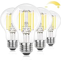 Amazon | Wonninek LEDフィラメント電球 調光可能 led 電球 6W エジソンバルブ A60 E26口金 2700K 電球色 白熱電球60W形相当 高輝度 817lm 高 ...