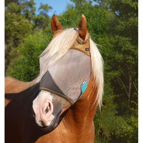 Horse Eye Cover
