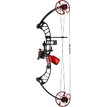 15-45 Lbs Adjustable Bow Lanneret Bowfishing Bow Kit Complete Set - 15 ...