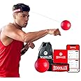 Boxbollen Original, Used by Celebrities - Boxing Ball with App - Helps ...