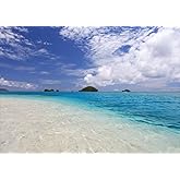 Amazon.co.jp: igsticker ポスター ウォールステッカー シール式ステッカー 飾り 515×728㎜ B2 写真 フォト 壁 インテリア おしゃれ 剥がせる wall ...