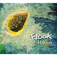 Amazon | Haven | Flook | 輸入盤 | ミュージック