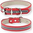 Amazon | [LaLUCA GOODS] 首輪 犬 猫 革 定番 スタンダード PU レザー シンプル 反射素材 小型犬 中型犬 ドッグ 散歩 カラフル レッド S | LaLUCA ...