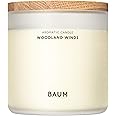 Amazon.co.jp: Baum(バウム) BAUM アロマティック キャンドル 1 WOODLAND WINDS 230g : ドラッグストア