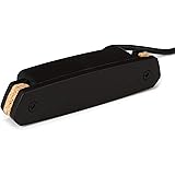 Fishman Neo-D Passive Magnetic Soundhole Pickup - Single Coil : Amazon ...